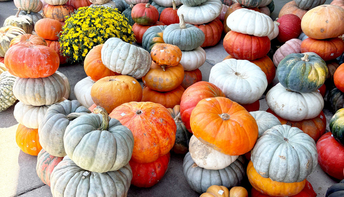 Callaway's Yard & Garden | Yard & Garden Supplies & Seasonal Christmas ...