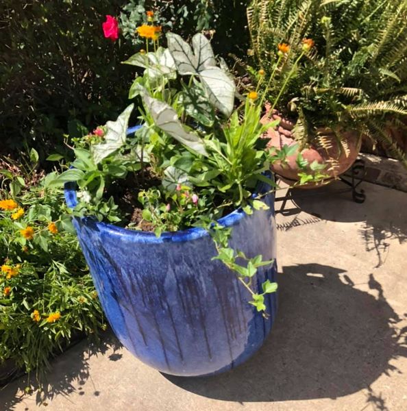 Callaway's Yard & Garden | Yard & Garden Supplies & Seasonal Christmas ...